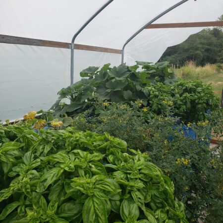 Hoop House Kits - Hoop House USA